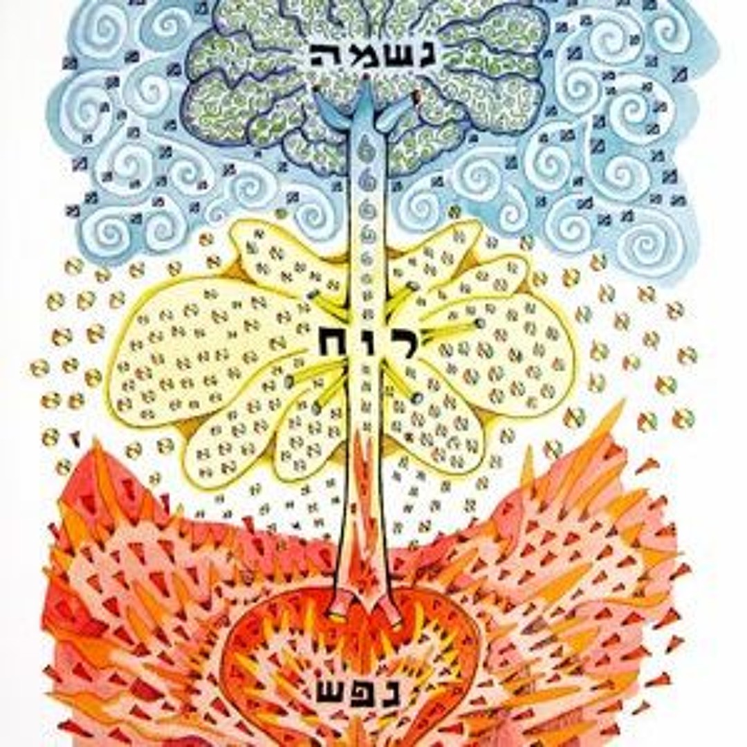 Stream Nefesh - Ruach - Neshama - Levels Of Soul Consciousness And How ...