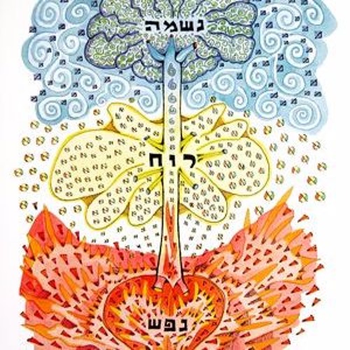 Stream Nefesh - Ruach - Neshama - Levels Of Soul Consciousness And How ...