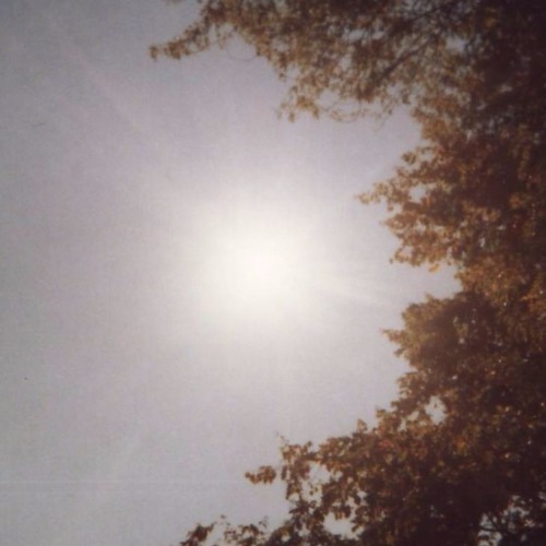Stream Phoenix - Trying To Be Cool (M.O.C Edit) by AmbtSeed | Listen ...