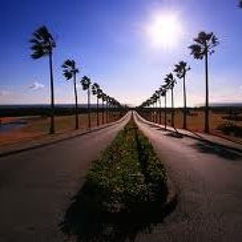 Stream Carolina Rupp | Listen to Chris Sanders ZH playlist online for ...