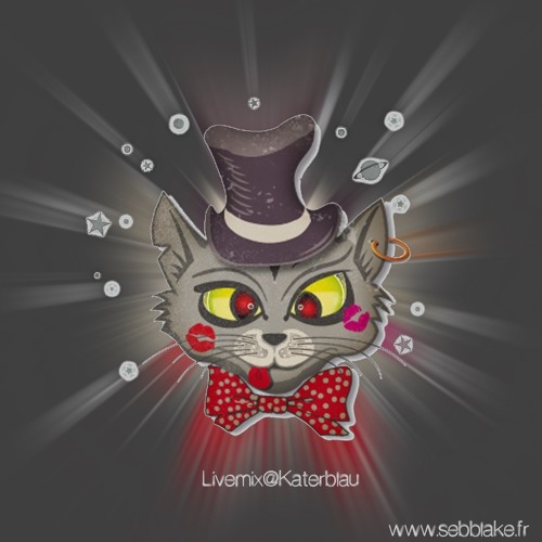 Stream Seb Blake - Live Mix at Kater Blau by SebBlake | Listen online ...