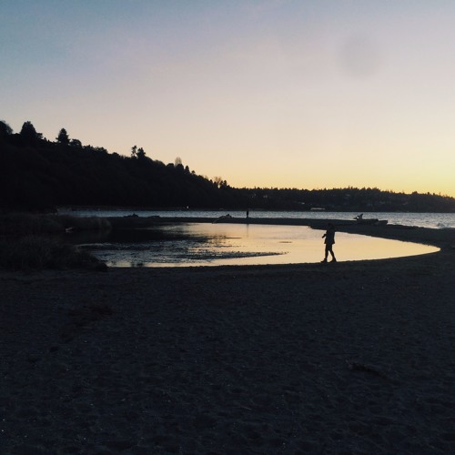 Stream WWU Laundry Room Podcast by Natalie Reeder | Listen online for ...