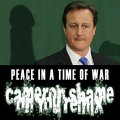 Soja Peace In A Time Of War