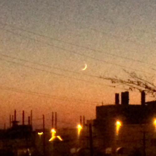 Stream Spooky Classics IV by Charlie Gregoire | Listen online for free ...