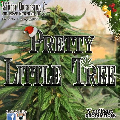 Stream Pretty Little Tree by StreetOrchestra Live | Listen online for ...