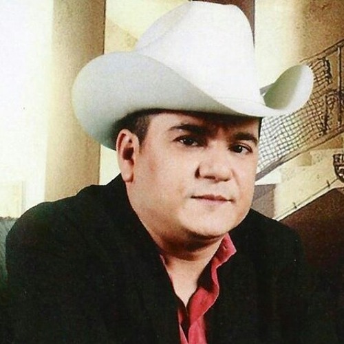 Stream El Potro De Sinaloa Cariñito De Mi Vida By El Panek 32