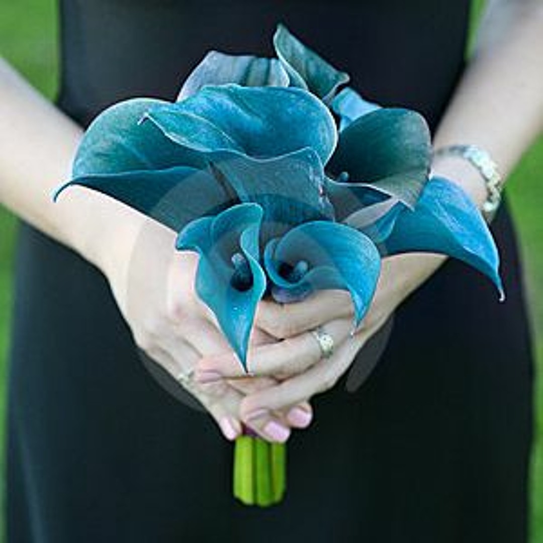 Stream El Ramo Azul -Octavio Paz- by morgoth666 | Listen online for ...