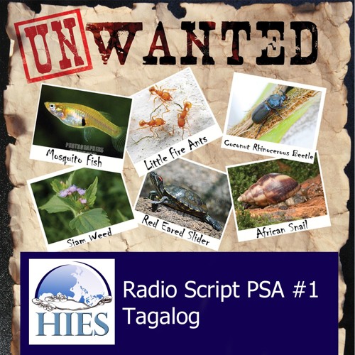 Stream HIES - Invasive Species PSA Radio Script Tagalog 1 by User ...
