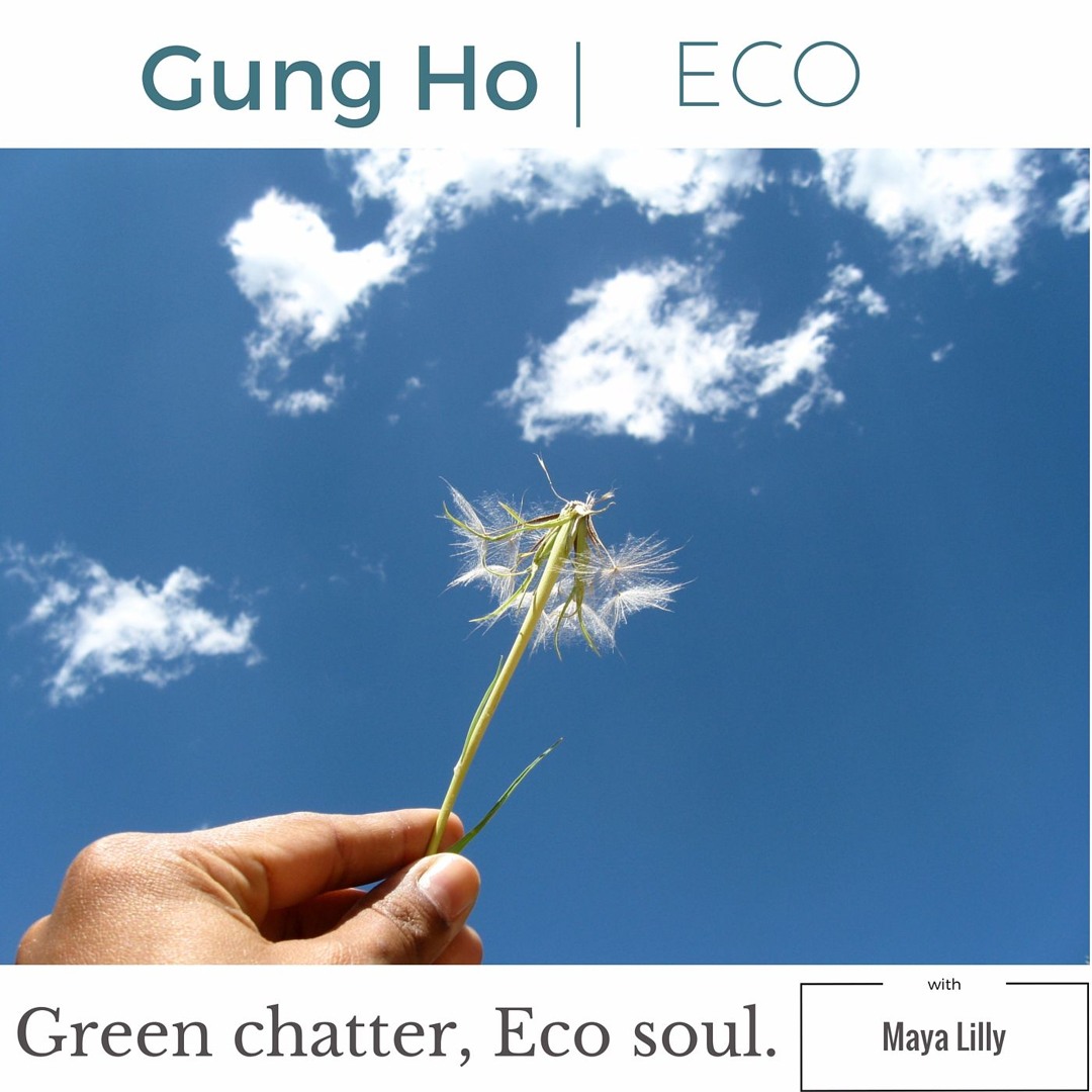Stream The Environmental Story in Film, TV and Media with USC Norman ...