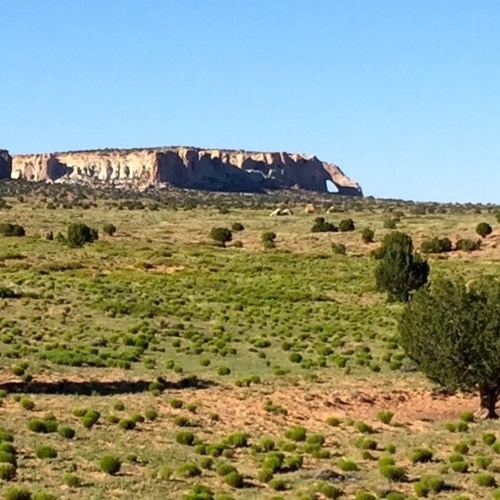 Stream The Tonalea Archive Project (Navajo) by George Hardeen | Listen ...
