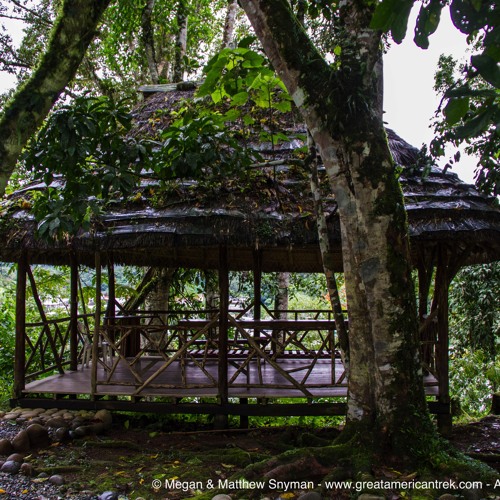 Stream Tena, in the basin of Ecuador's Amazon Rainforest by Great ...
