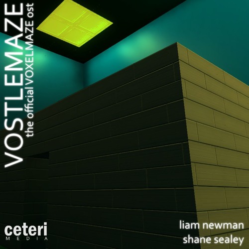 Stream Liam Newman | Listen to VOSTLEMAZE (The official VoxelMaze OST ...