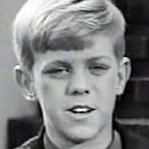 Stephen Talbot Leave It To Beaver