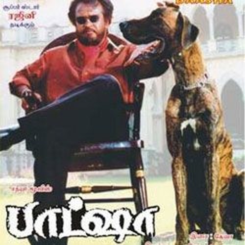 Basha Rajini Dog Stills