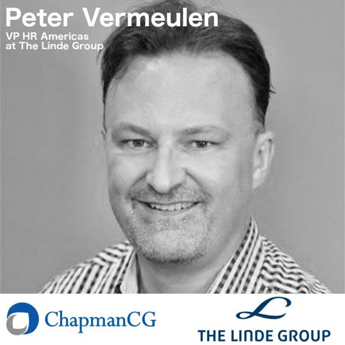 Stream The Linde Group, Peter Vermeulen - Measuring Diversity ...