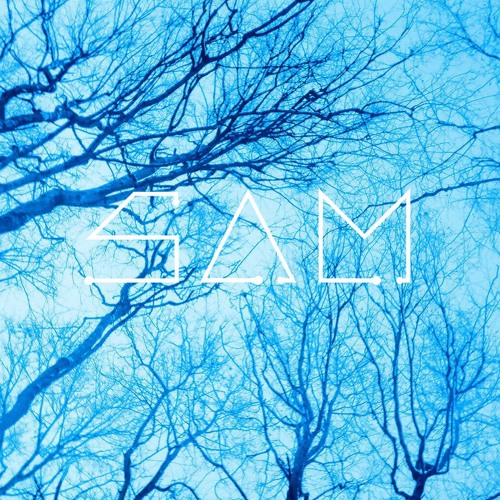 Stream SAM - ZIMA ("Winter" First official single) by Julia Stain ...