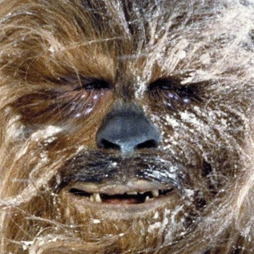 Chewbacca Noise