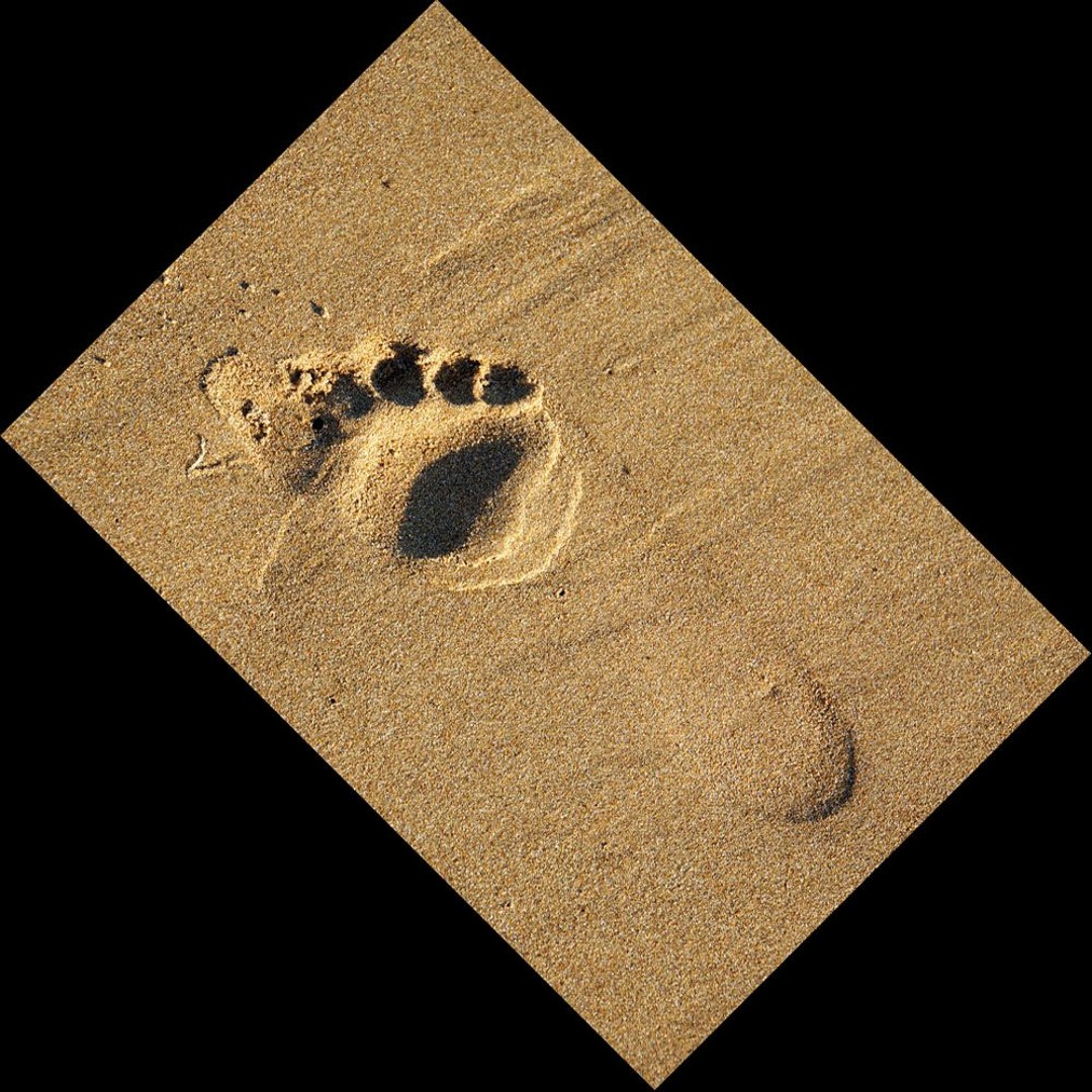 Stream Freebird - Remix by earthpages | Listen online for free on ...