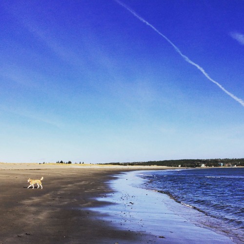 Stream Catch Release Matt Simons Cover By Emily Ambrose Listen