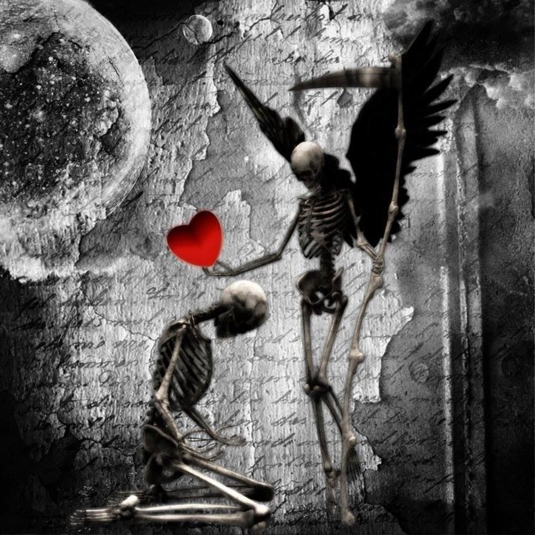 Stream Seen by Dusty Taylor | Listen online for free on SoundCloud