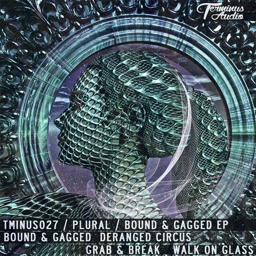 Stream Terminus Audio | Listen to TMINUS027: Plural - Bound & Gagged EP ...