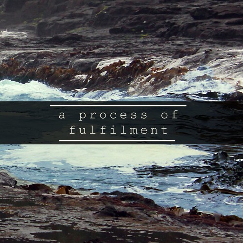 Stream Adam Carter - A Process Of Fulfilment by Adam Carter | Listen ...