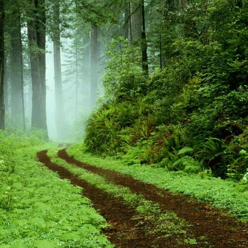 Stream မျှော်တော်ယောင် - အောင်ထက်၊ ဂျက်ဆင်ထွန်း by Hnin Thida Htwe | Listen online for free on ...