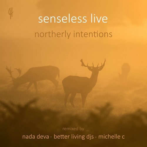 Stream Senseless Live - Let Me Out (Better Living DJ's Remix) by Better ...