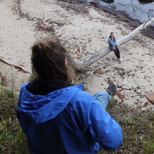 Stream Goner - Twenty One Pilots (cover) by Andrea Kompf | Listen ...