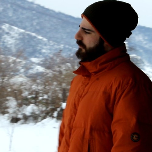 Stream FuLA - ჩემი თეორია (Prod. Ser Ious) by Fula Calypse | Listen ...