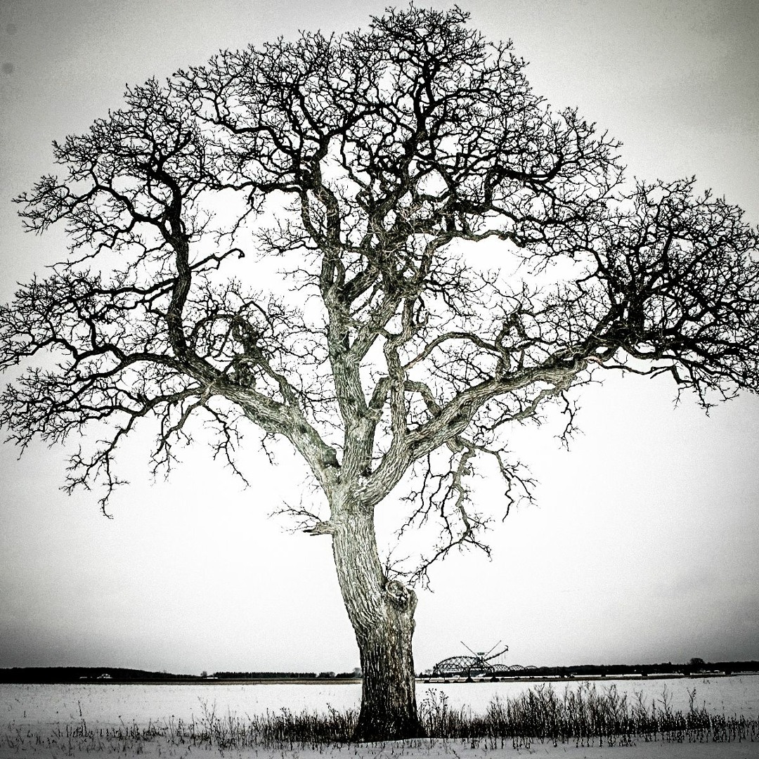 Stream Mark Slee - Winterslumber: Les Rêves d'Hiver [January 2016] by ...