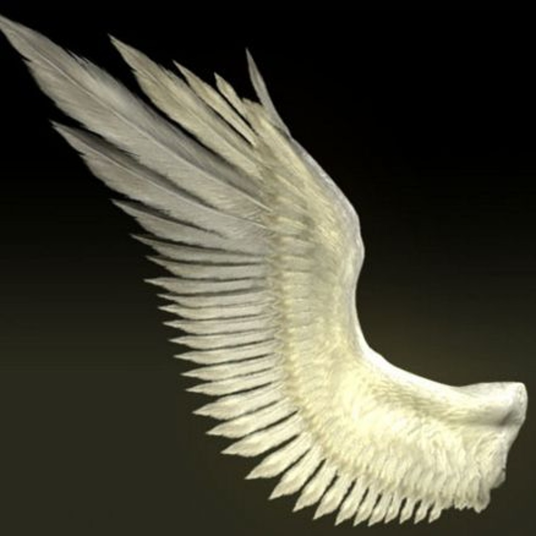 Stream Valkyries (feat. Brendan Considine and Natalie Sahyoun) by Todd ...