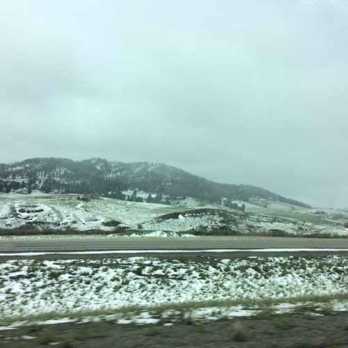 Stream Evan Tighe | Listen to (Some) Margin, vol. 7 playlist online for ...