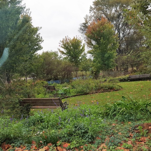 Stream Timacade Gabay.MP3 by heesaha hirgalay | Listen online for free ...