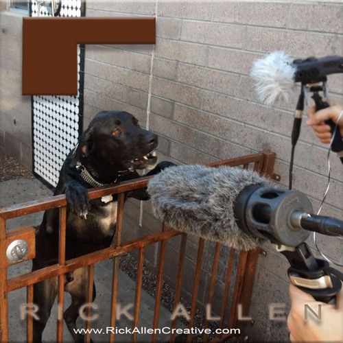 Stream RA - Big Dog SFX Pack by RickAllenCreative | Listen online for ...