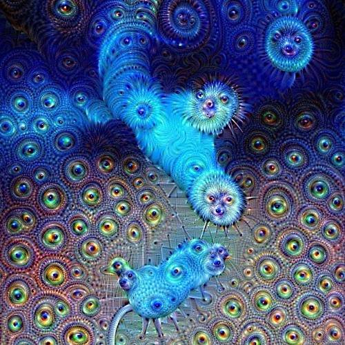 Stream Attack Of The 50 Foot Cats From Venus by Dhalgren | Listen ...