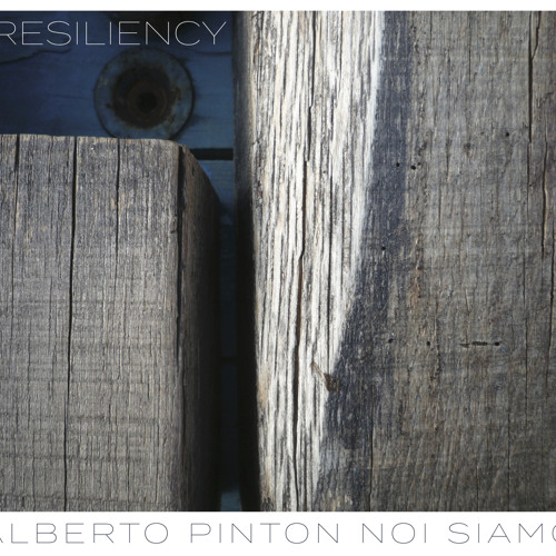 Stream Alberto Pinton Noi Siamo - Resiliency (album teaser) by ...