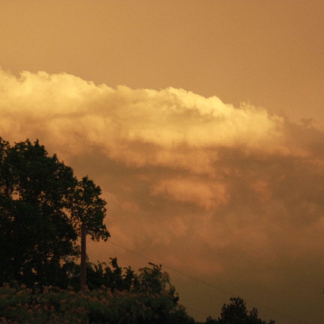 Stream In The Night by JIM CATO | Listen online for free on SoundCloud