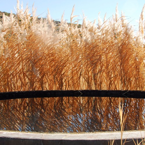 Stream Este-Gedigte B by Lydia-Marie Joubert | Listen online for free ...