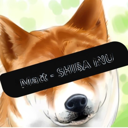 Stream Shiba Inu (Original Mix) by Matt Face (Old Stuff) | Listen ...