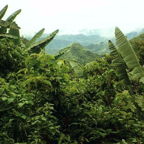 Stream MACPHERSON WASTE DISPOSAL REPORT 04.03.2015.MP3 by MacPherson ...