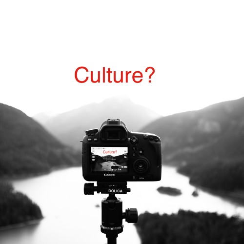 Stream Defining Culture: Alan Hersker by Anthro-Active | Listen online ...