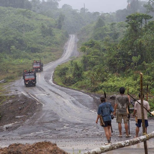 Stream Jingle Matu Tugang Penan Hidup Dari Hutan by Radio Free Sarawak ...