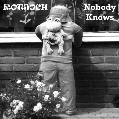 Stream Rotjoch - Silly Questions by Rotjoch | Listen online for free on ...