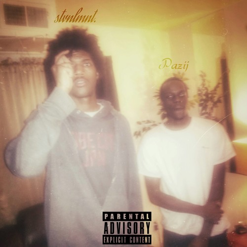 Stream Steven Lamont & Pazij - Real Negus [Prod. TK Fishermen] by ...