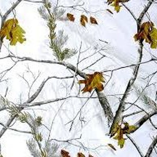 Stream 2nd Song by Emily Riess | Listen online for free on SoundCloud