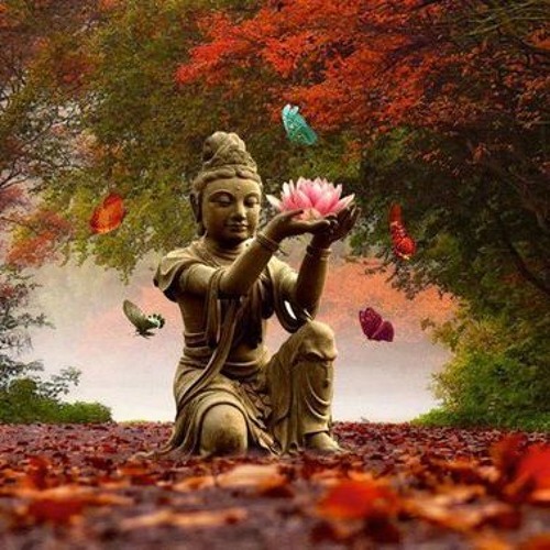 Stream Padma Previ - Om Tare Tare by medvedq | Listen online for free ...