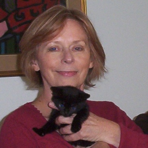 Stream FreshEd #13 - Jane Kenway by The FreshEd Podcast | Listen online ...