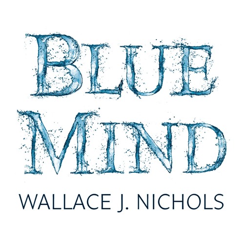 Listen to playlists featuring Blue Mind by Wallace J Nichols (Audiobook ...