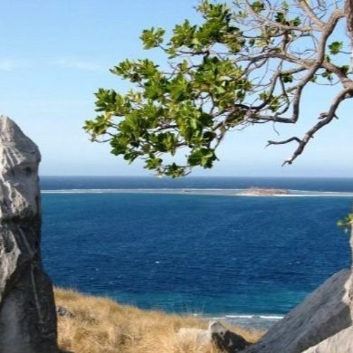 Stream Things I Used To Know by Leon Zeug | Listen online for free on ...